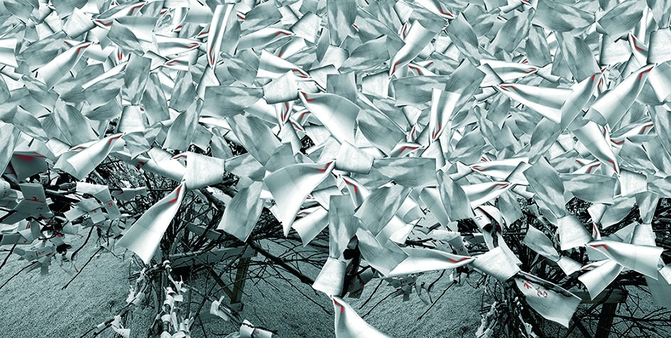 - ד"ר סמדר שפי